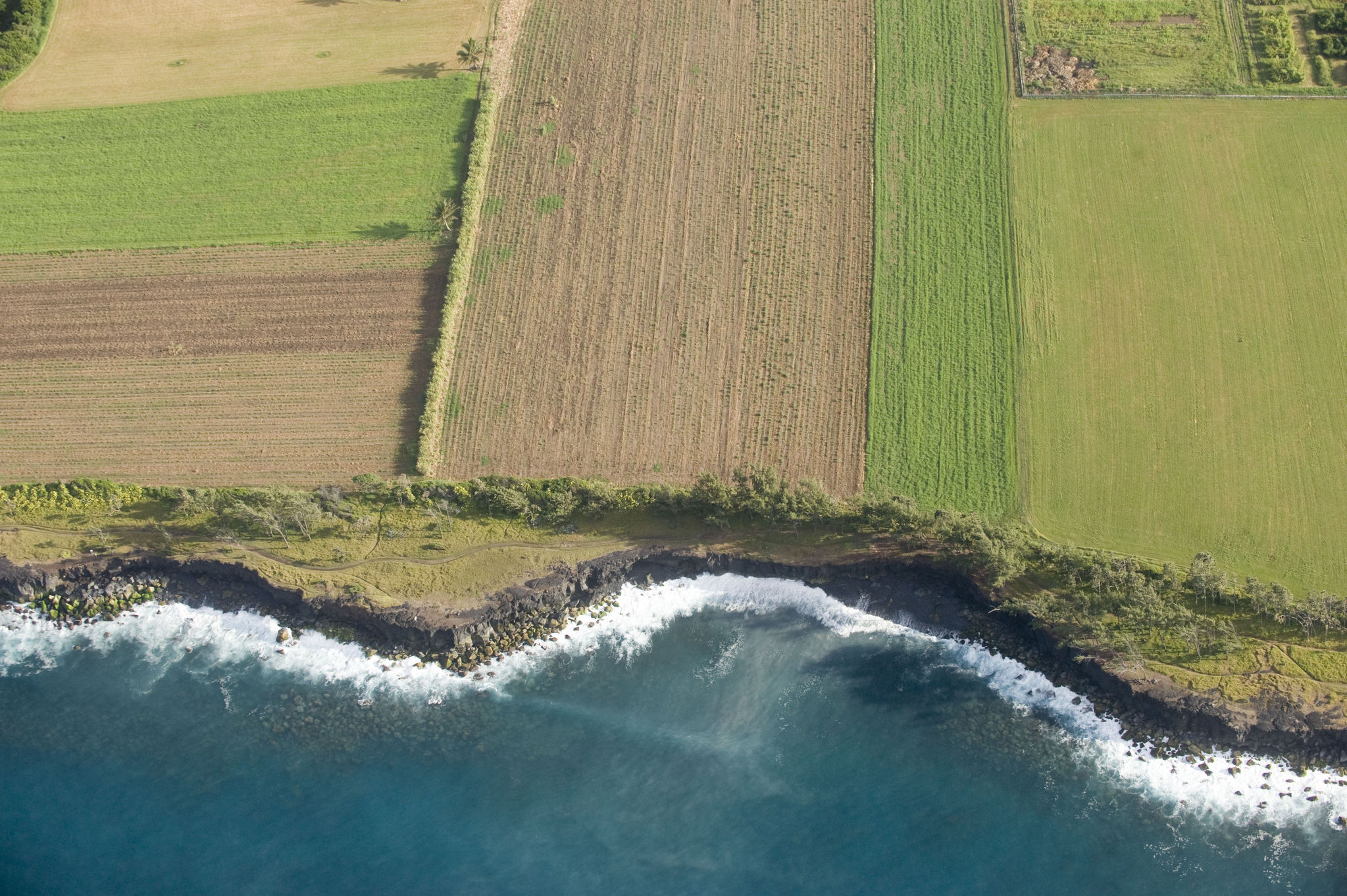 Rapport d’activité 2025 | DAAF de la Réunion