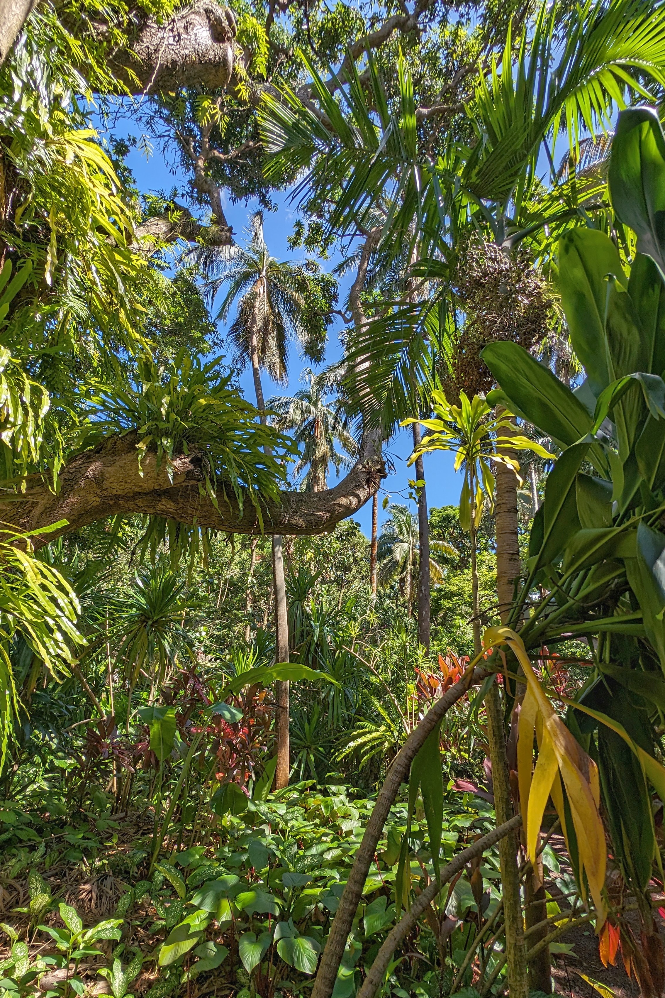 Rapport d'activité 2024 | DAAF de la Réunion